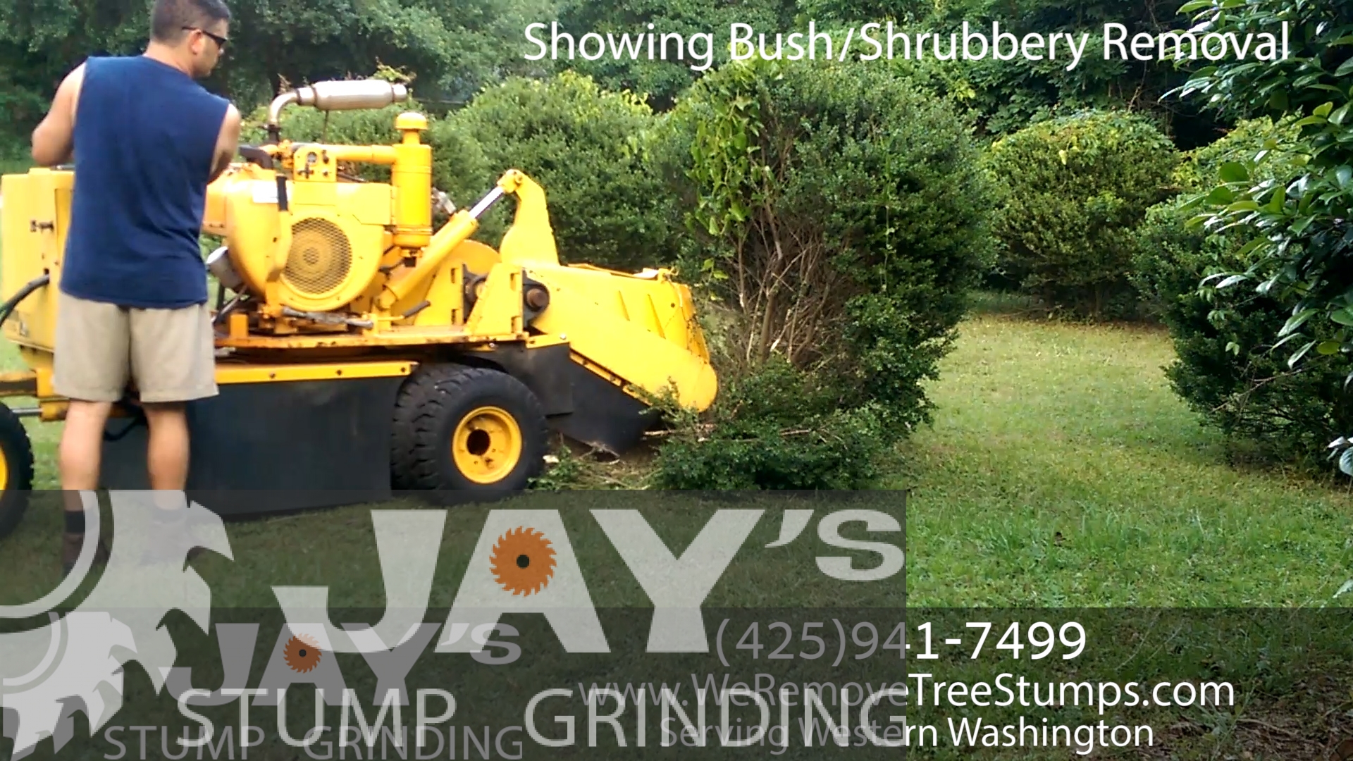 Video|Bush/ Shrub Removal - Jay's Stump Grinding & Removal % (425)941-7499